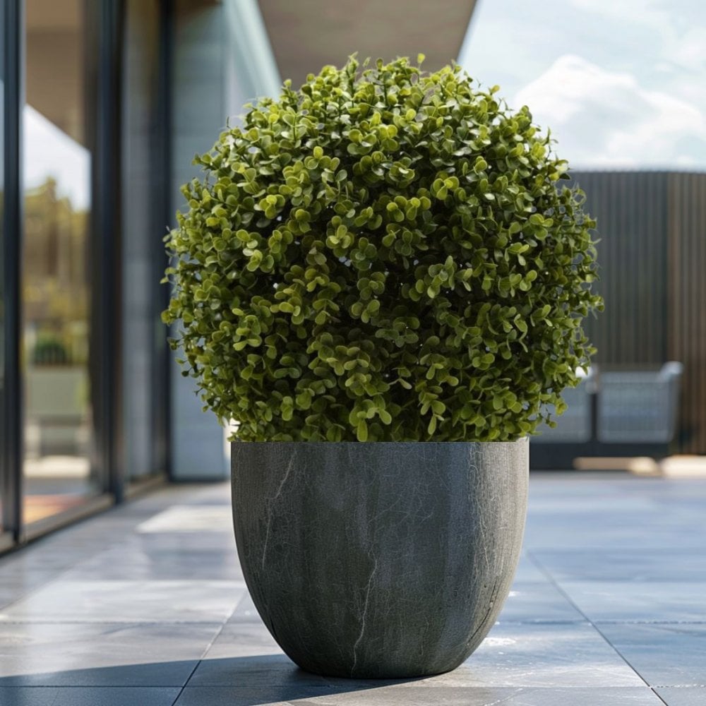 Artificial English Buxus Ball – Botanical Boulevard