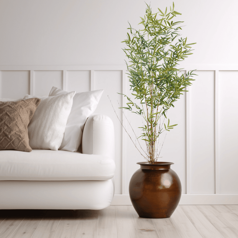 Real Stem Bamboo Tree – Botanical Boulevard